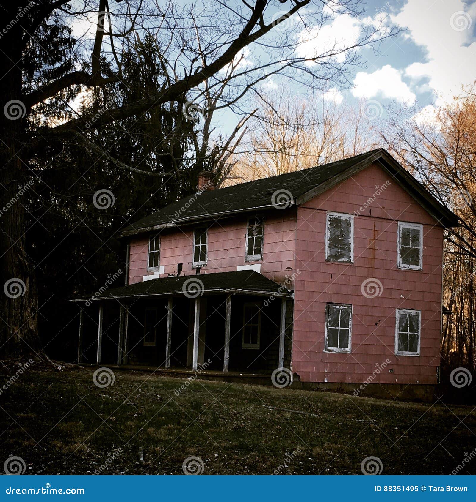 Abandoned Pink House stock image. Image of urbex, tree - 88351495