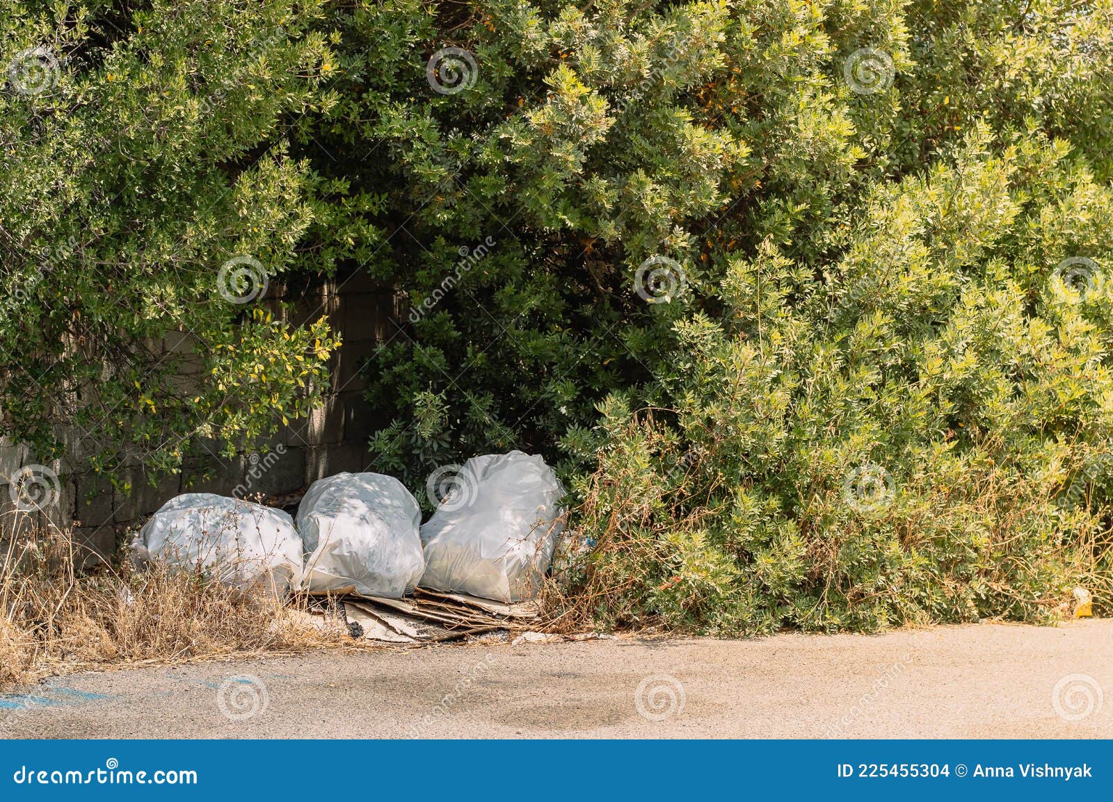Abandoned Plastic Bags of Garbage on the Road.Environmental Pollution ...
