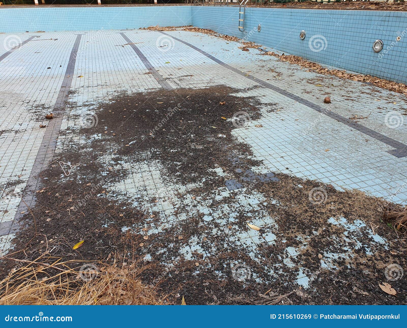 The Abandoned Pool Is Empty, Old And Rotten, With Lots Of Leaves And ...