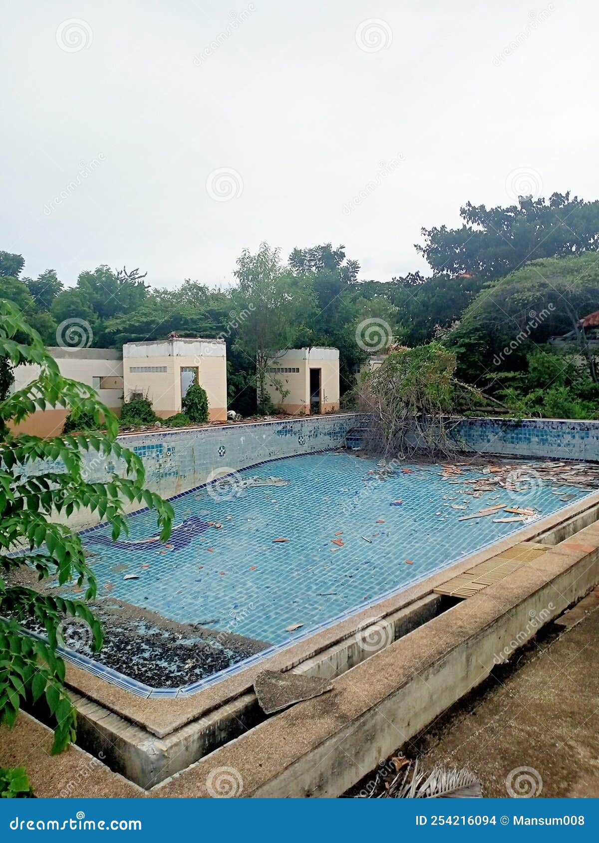 The Abandoned Pool Is Empty, Old And Rotten, With Lots Of Leaves And ...