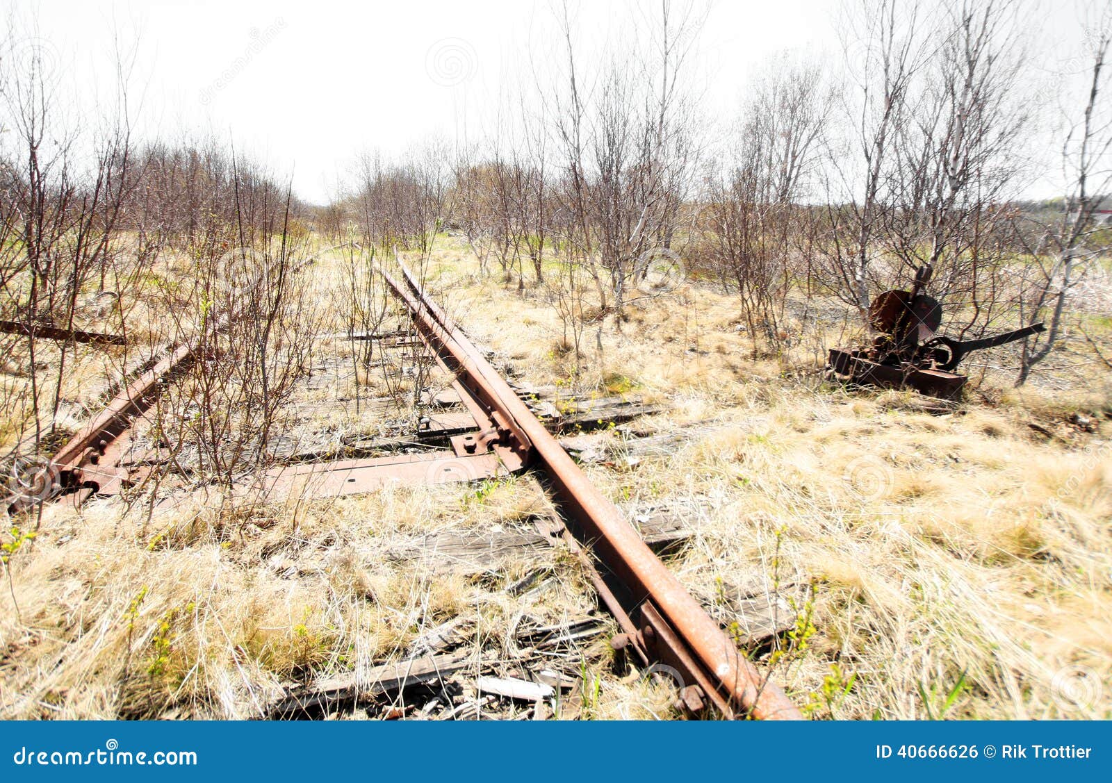 Abandoned rail line stock photo. Image of rail, retired - 40666626