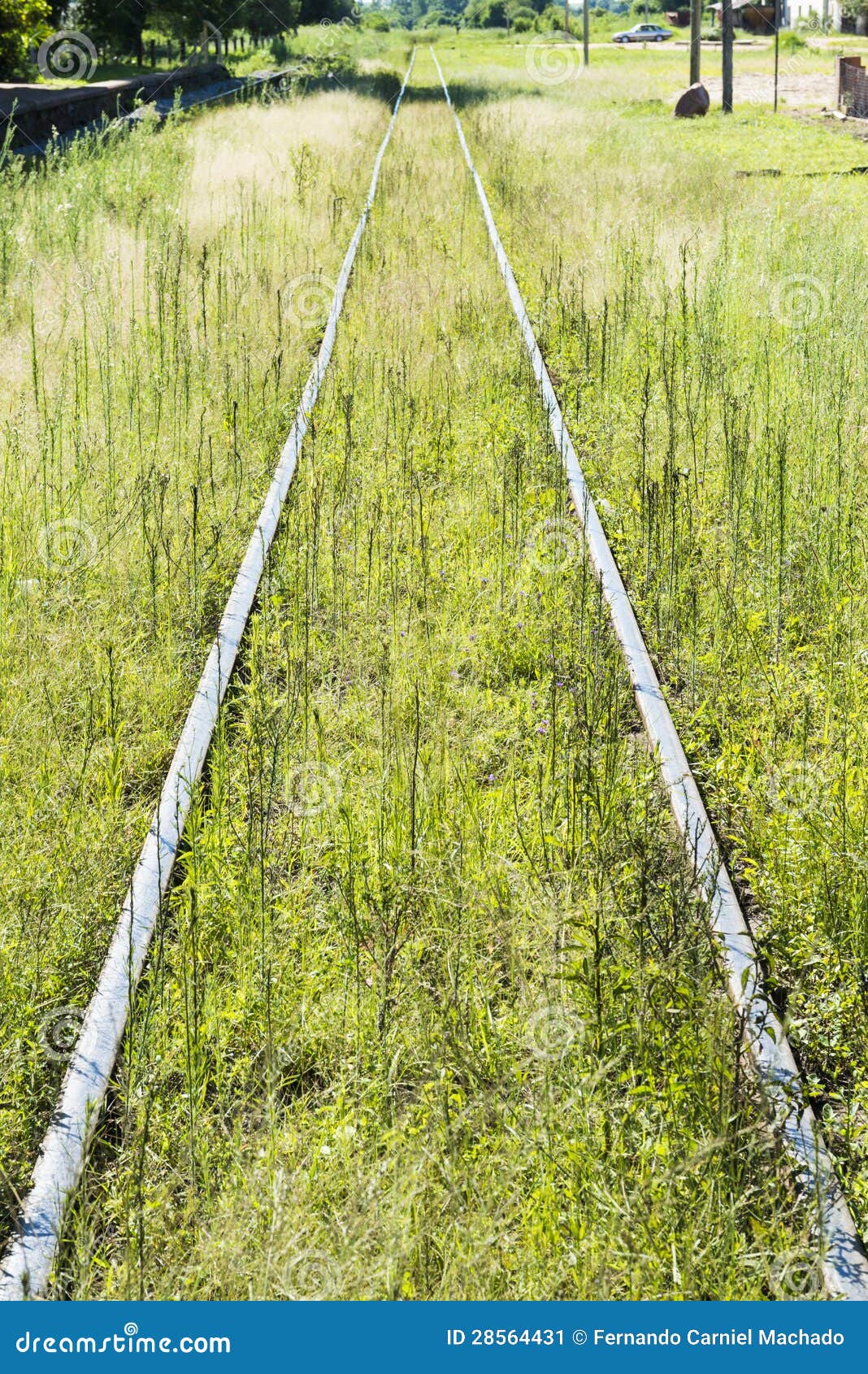 Abandoned rail tracks stock image. Image of deserted - 28564431