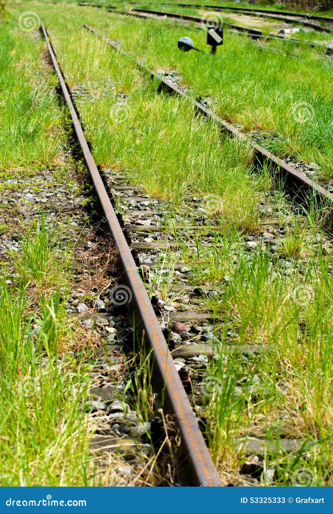 Abandoned Rail Tracks With Grass Royalty-Free Stock Photo ...