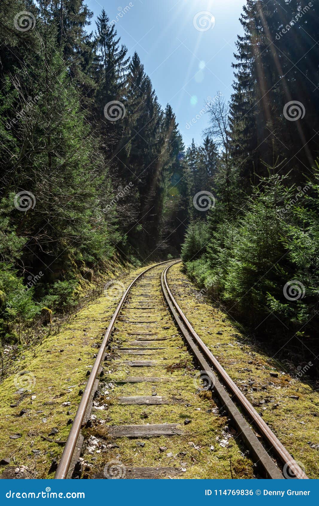 Railway Track in the Forest with Sunlight Stock Photo - Image of view ...