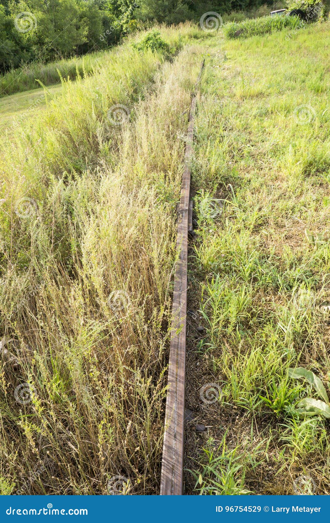 Abandoned Railroad Tracks stock image. Image of trains - 96754529