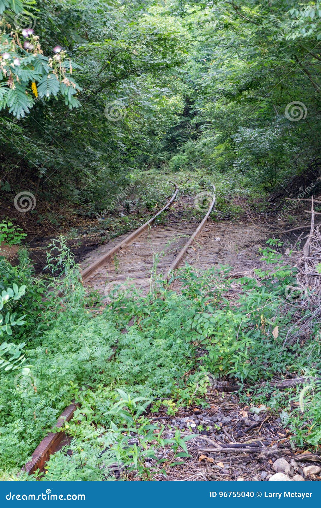 Abandoned Railroad Tracks stock photo. Image of track - 96755040