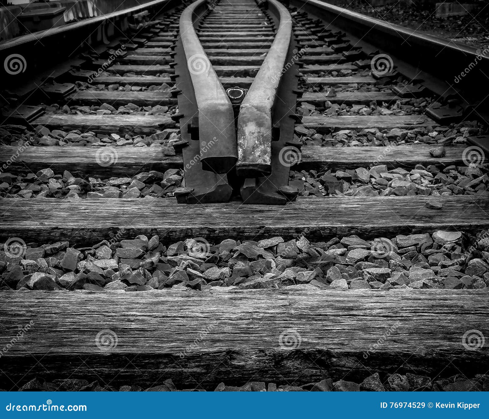 Abandoned Railroad Tracks stock image. Image of tracks - 76974529