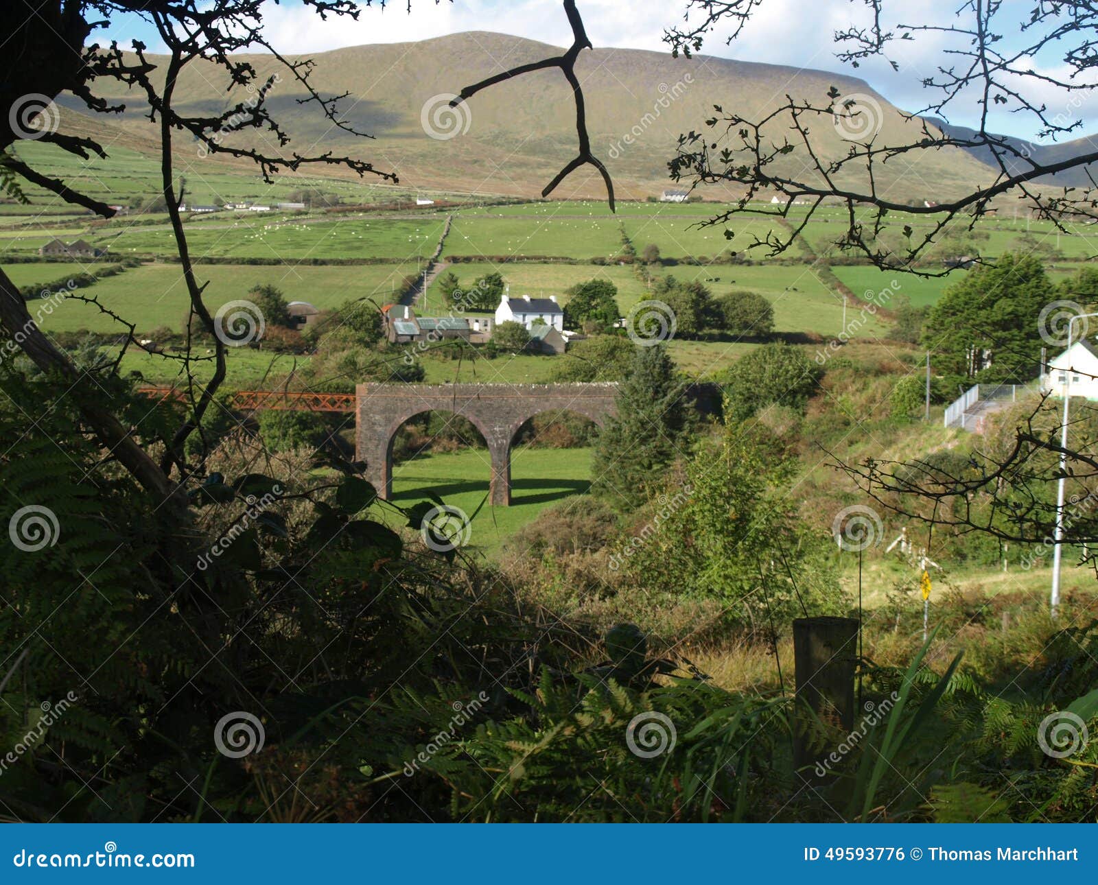Abandoned railway bridge stock photo. Image of dingle - 49593776