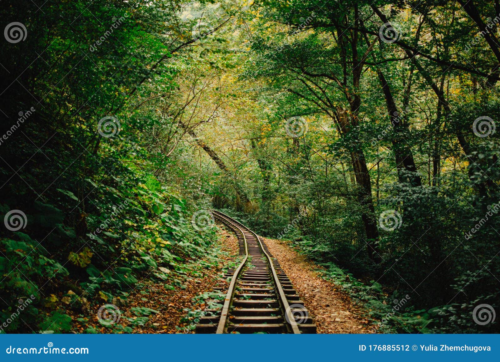 An Abandoned Railway in a Mysterious Dense Dark Forest Stock Photo ...