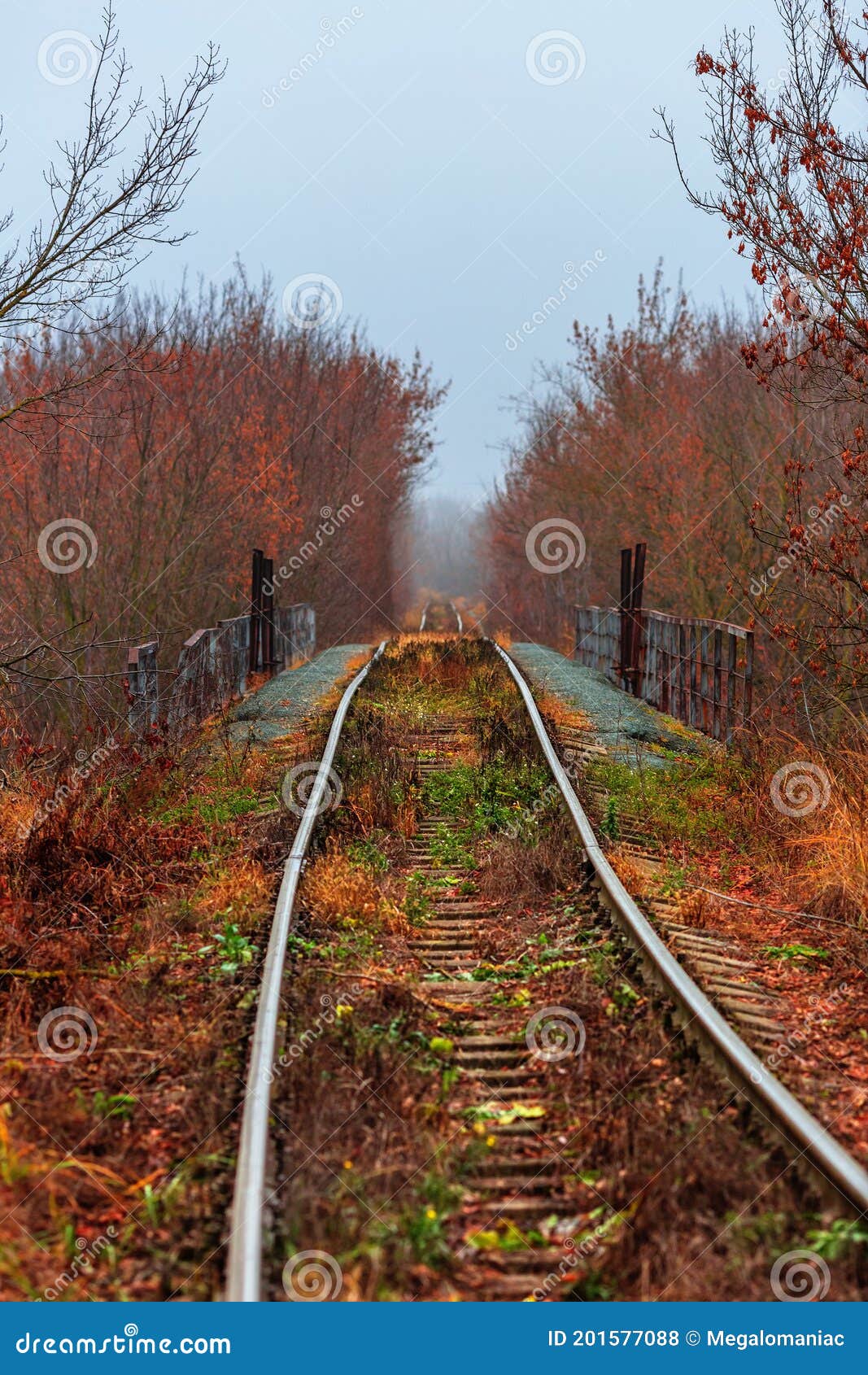 Abandoned Railway Path in Forest Stock Photo - Image of railroad ...