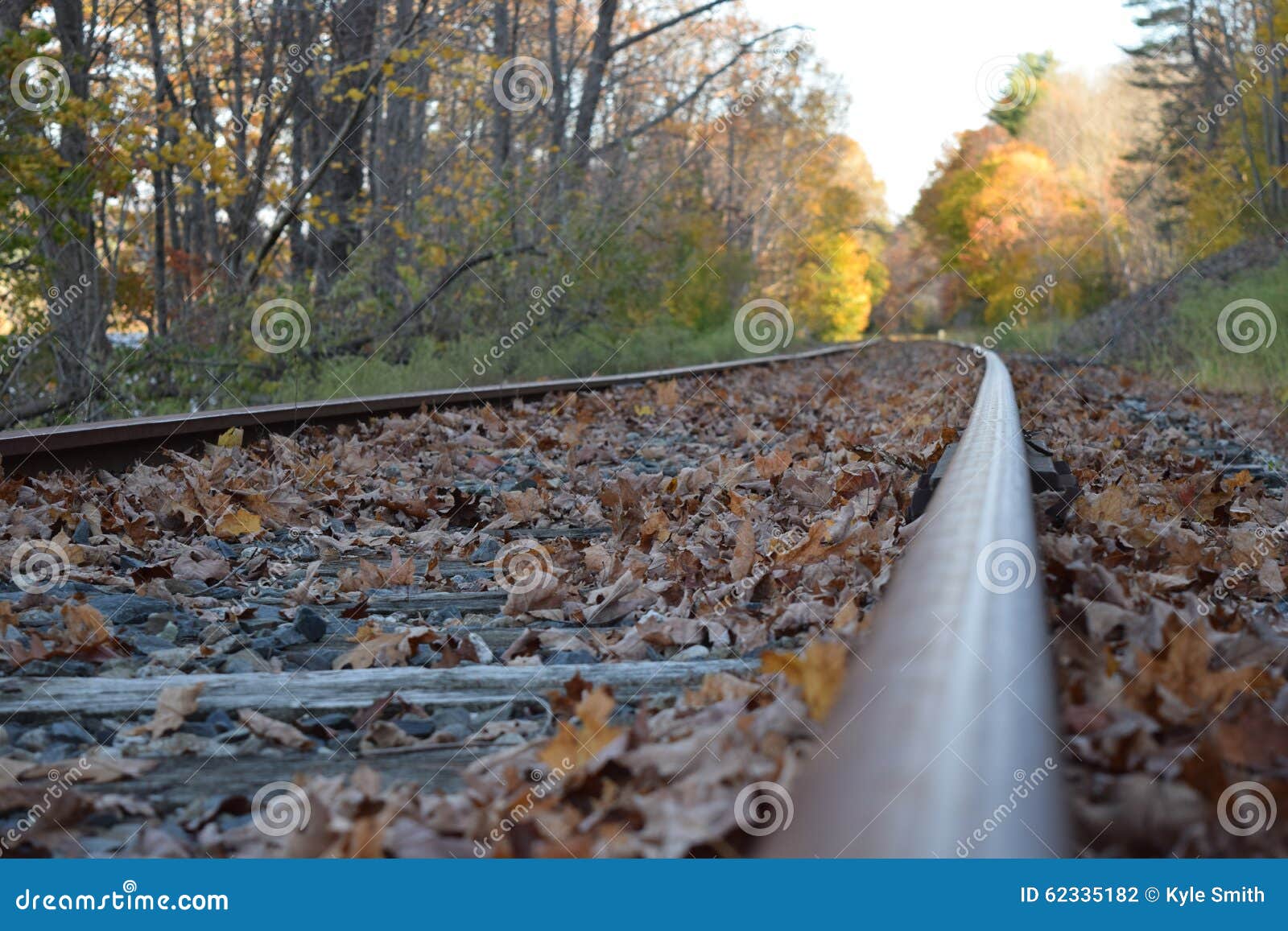 Abandoned Railway Track in Fall Stock Photo - Image of train, nature ...