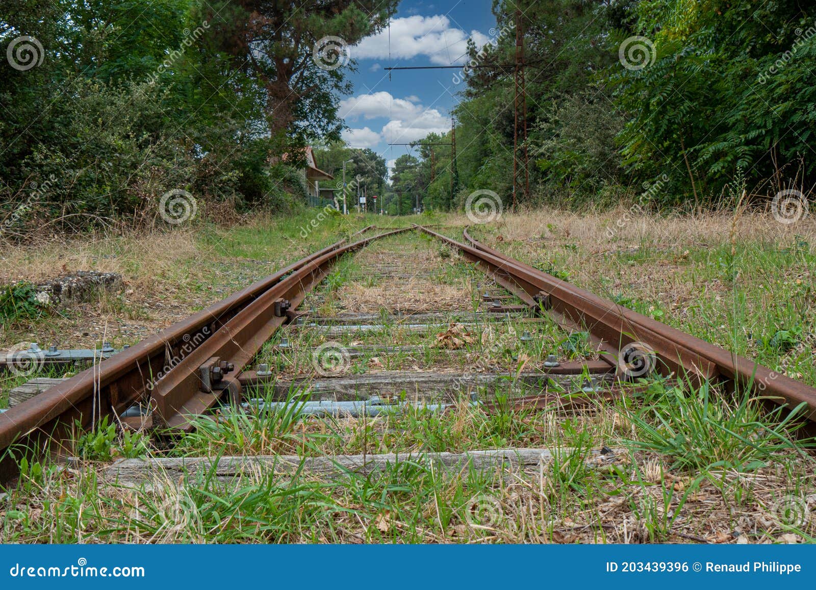 Abandoned Railway Track is Overgrown with Grass Stock Photo - Image of ...