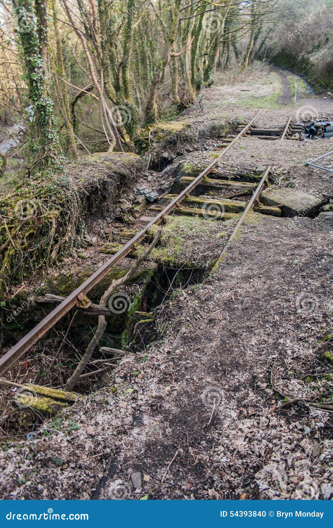 Abandoned Railway Tracks stock photo. Image of trees - 54393840