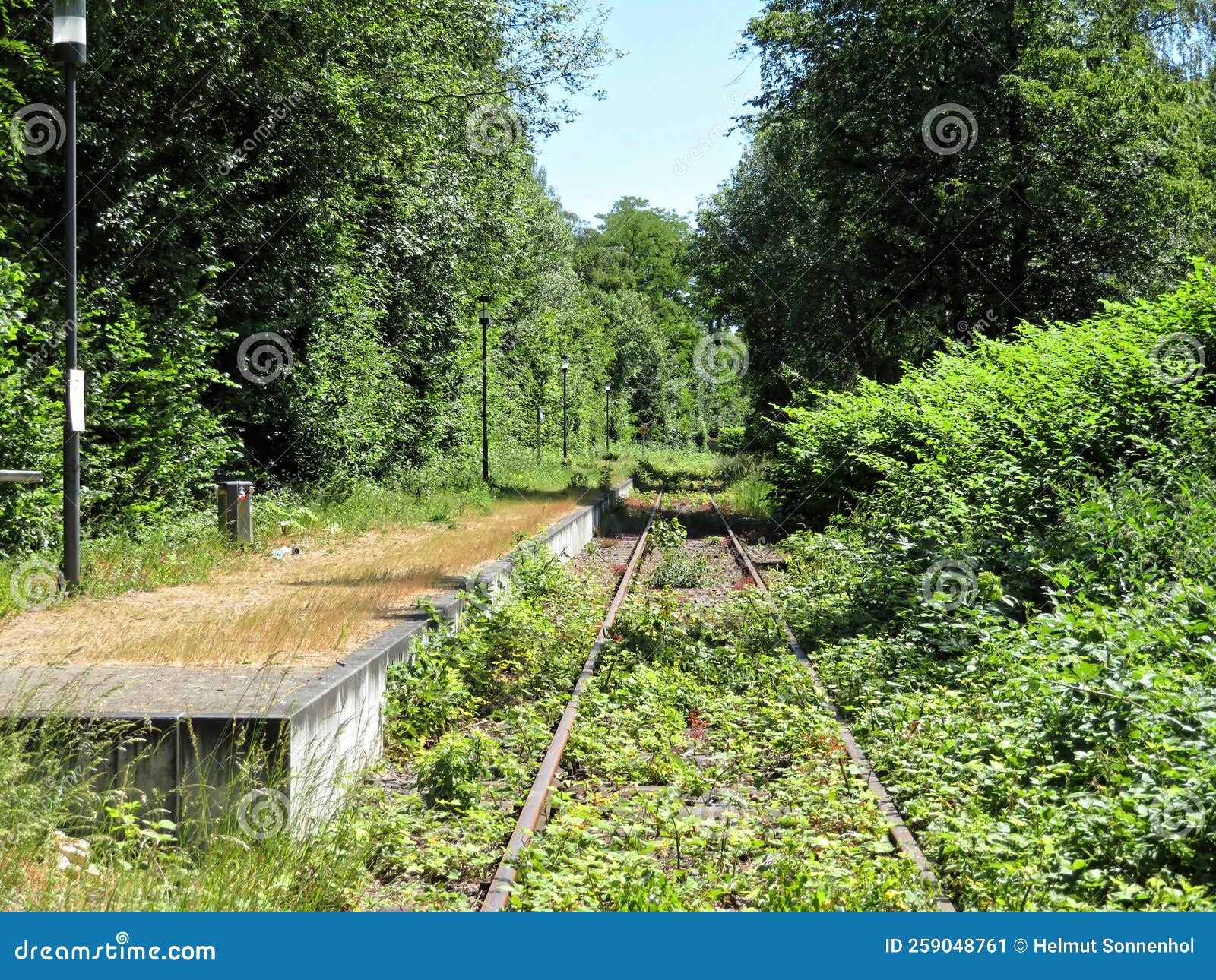 Abandoned Railway Tracks are Overgrown with Grass and Trees. Stock ...