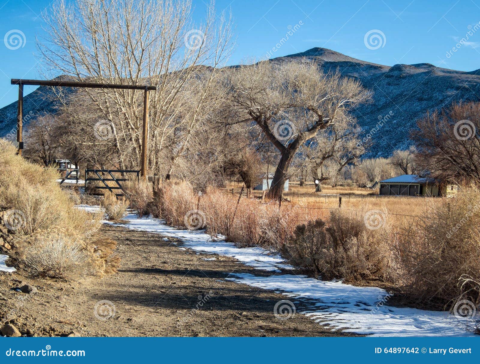 Abandoned ranch stock photo. Image of historic, deteriorating - 64897642