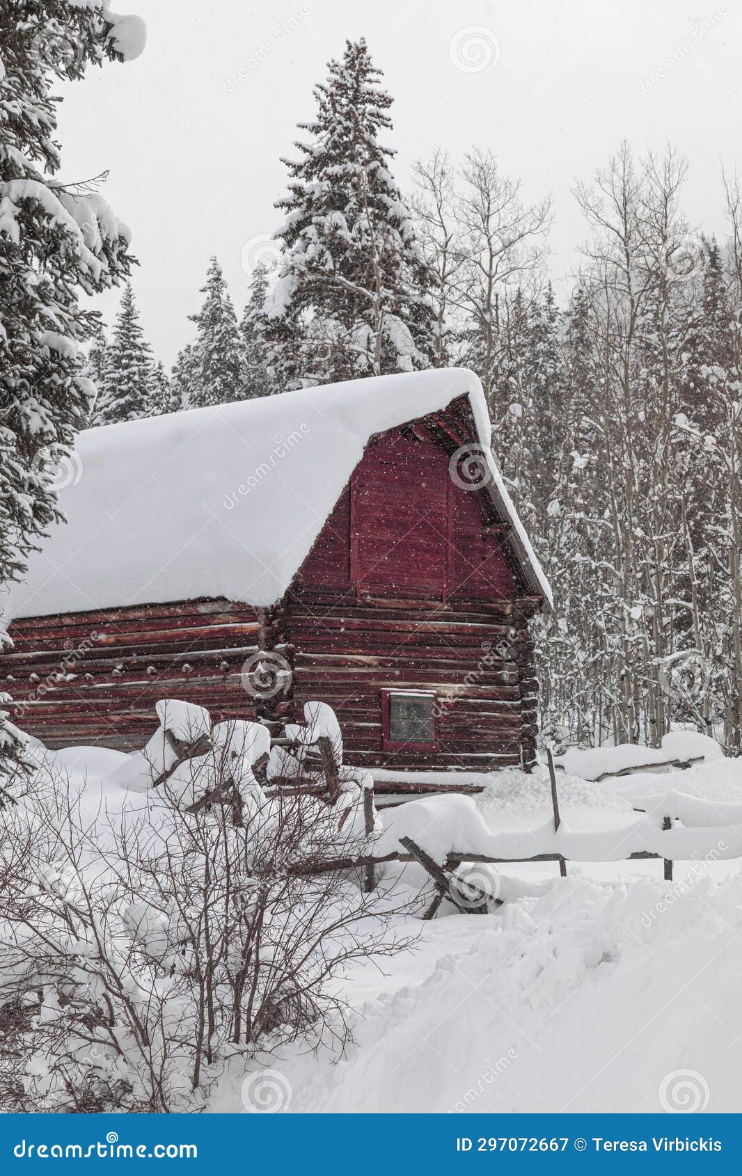 Abandoned Red Barn in Winter Scene Covered in Snow Stock Image - Image ...