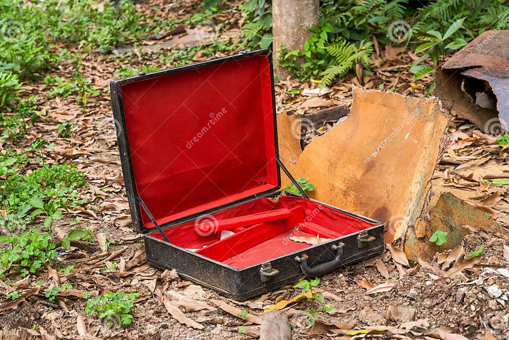 An Abandoned Red and Black Empty Suitcase in the Wild Stock Image ...