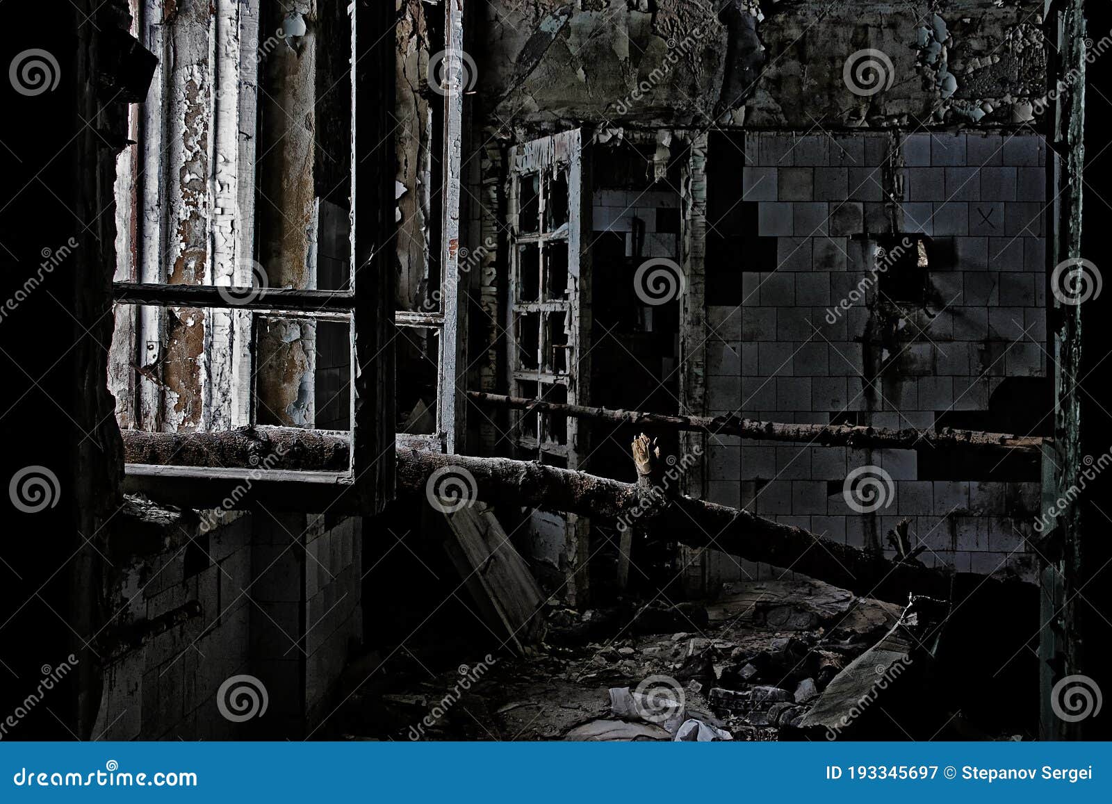 Abandoned Room with Trees Sticking Out of the Windows Stock Image ...