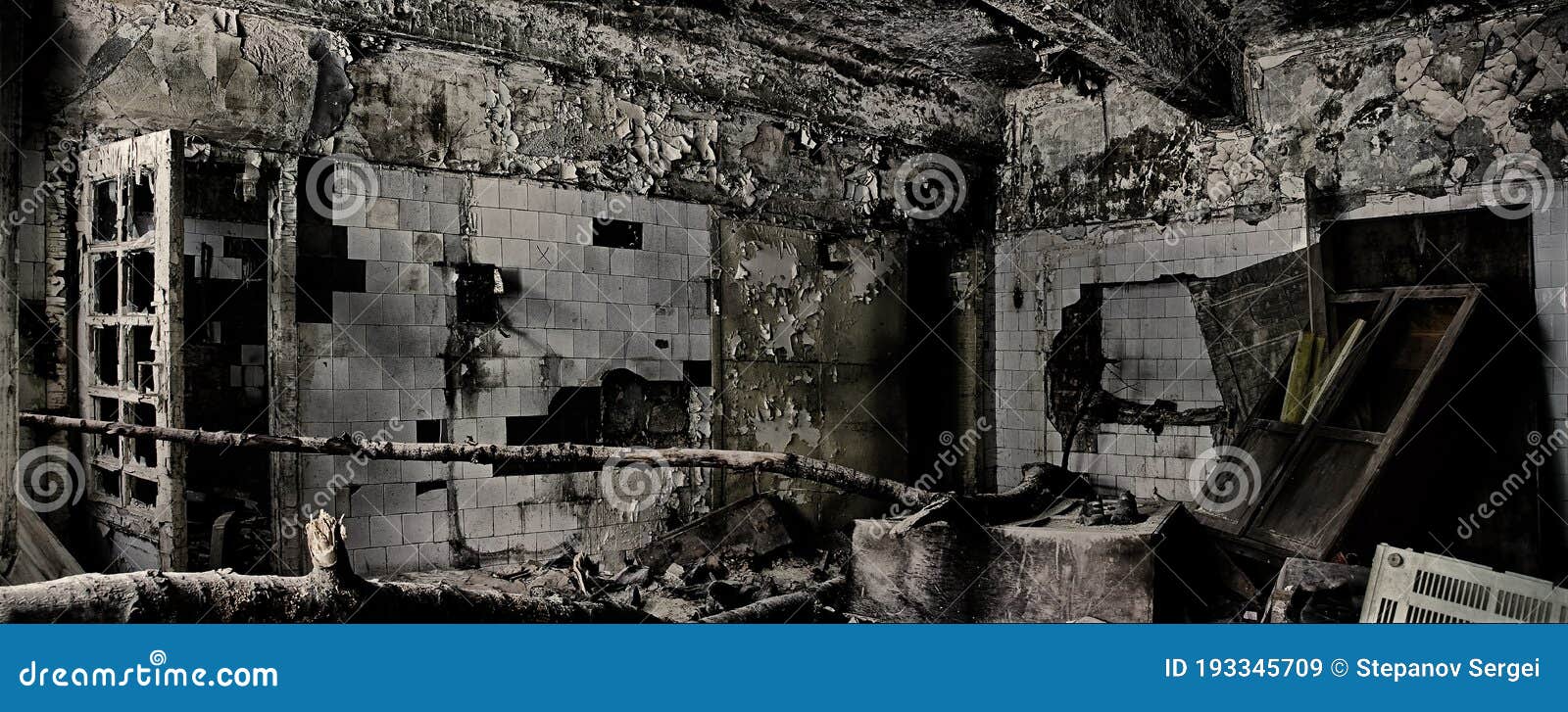 Abandoned Room with Trees Sticking Out of the Windows Stock Image ...