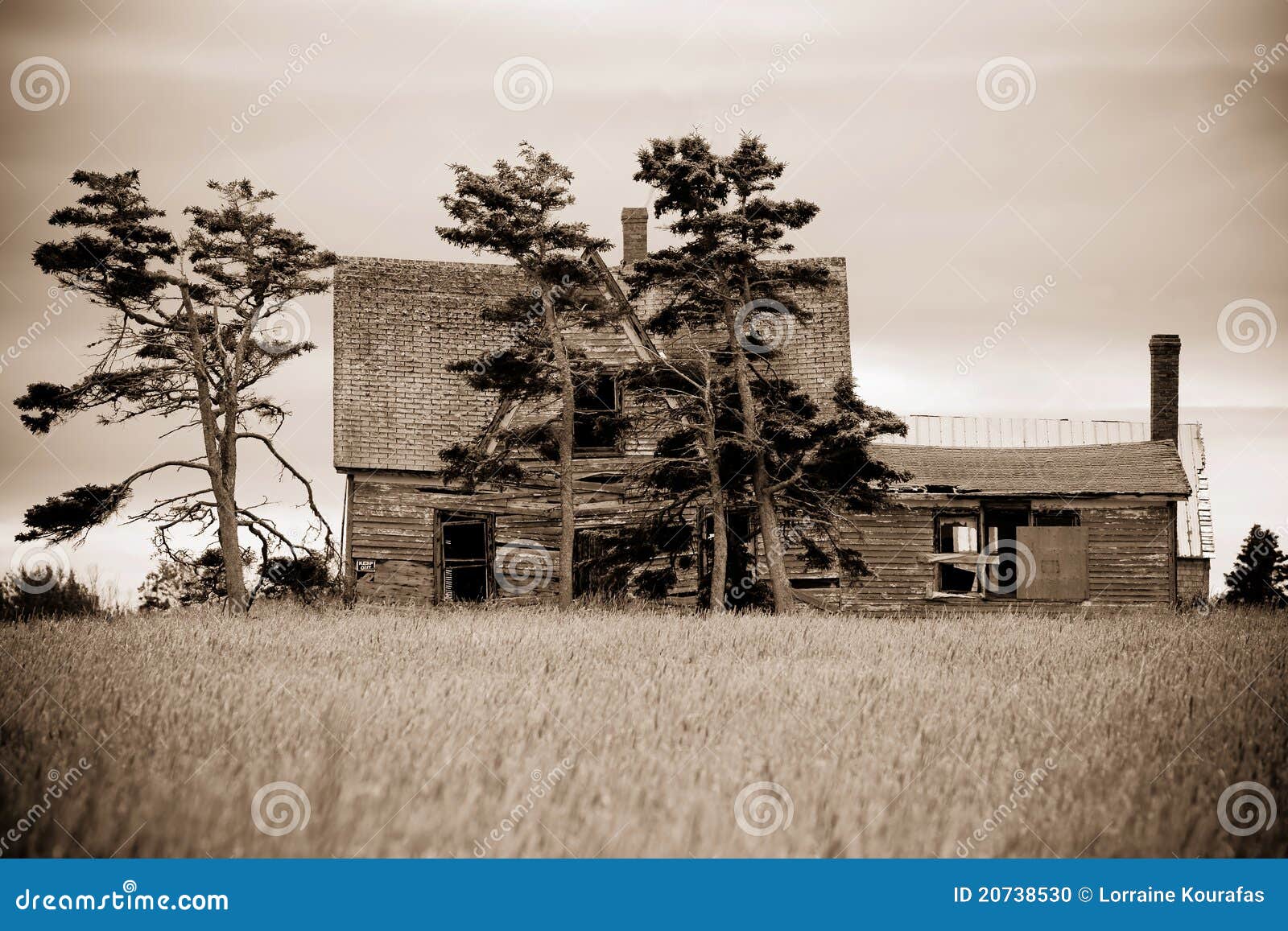 Abandoned, Run Down House stock photo. Image of despair - 20738530