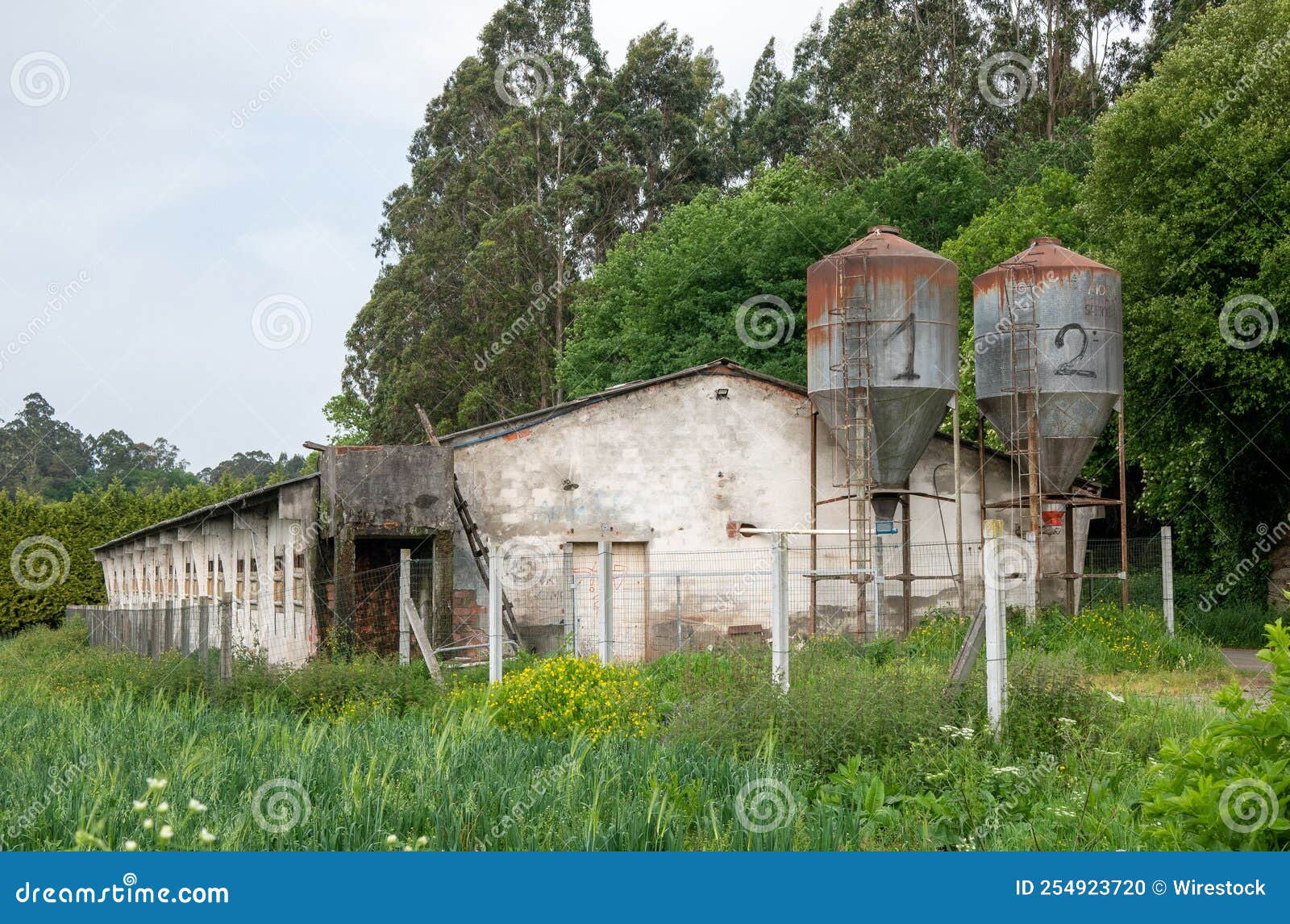 Abandoned Rural Factory in the Green Field Stock Photo - Image of ...