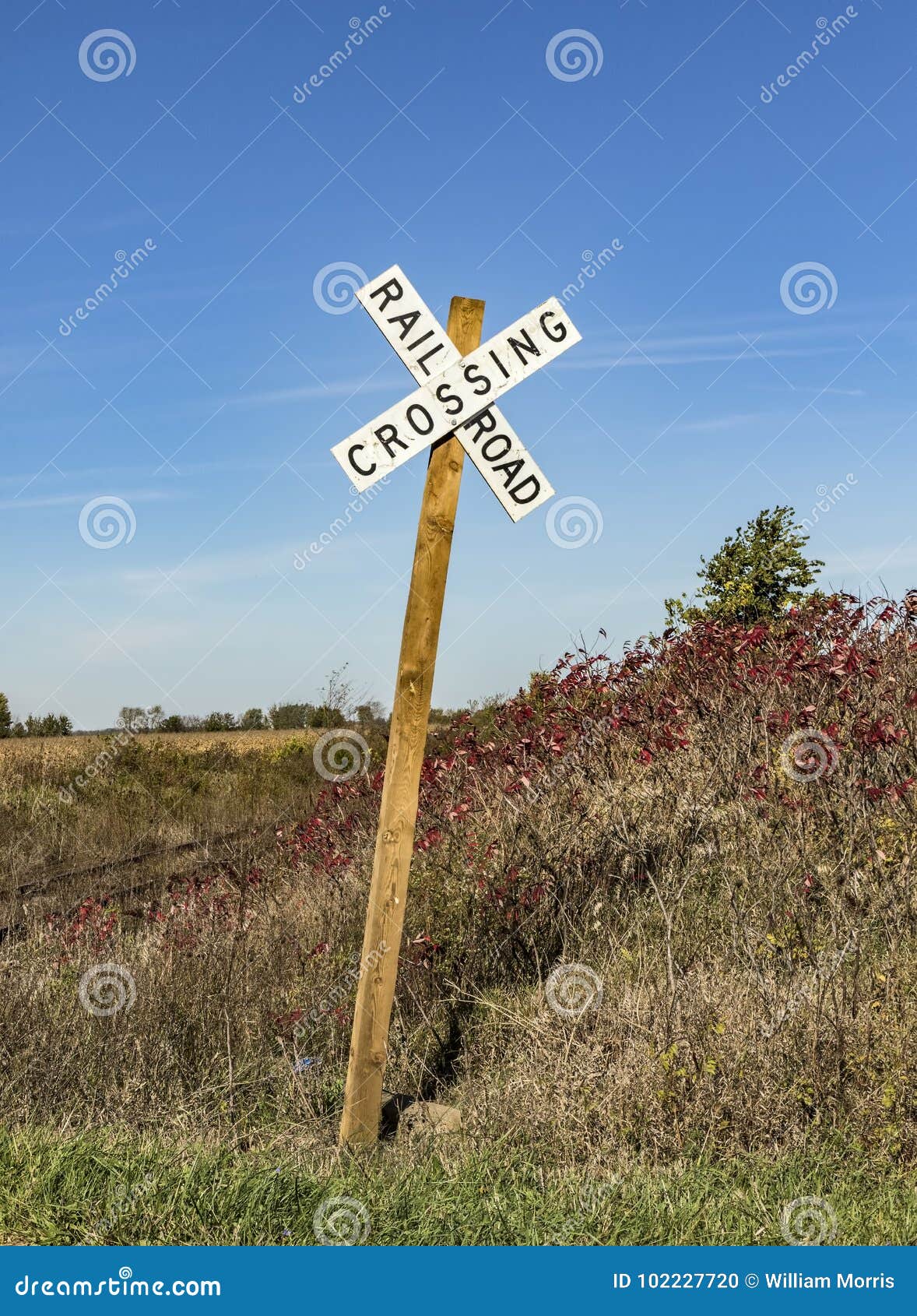 Abandoned Rural Railroad Crossing. Stock Photo - Image of rural ...