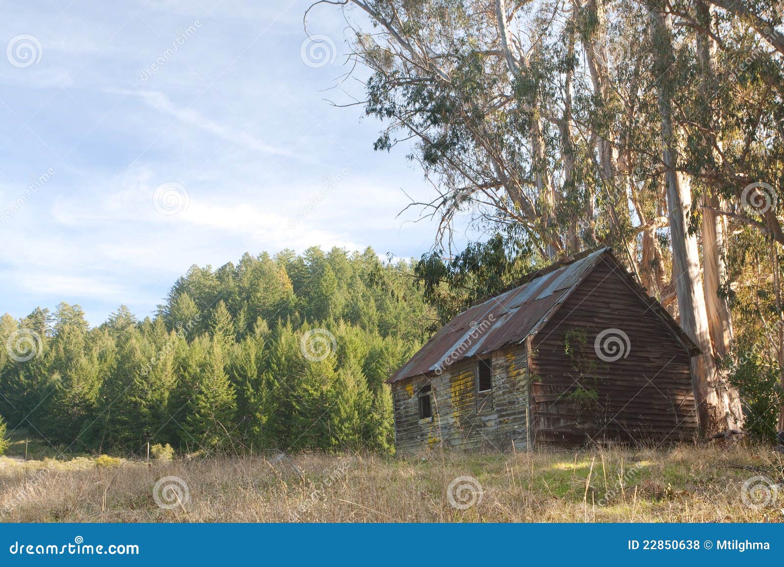 Abandoned rustic cabin stock photo. Image of fashioned - 22850638