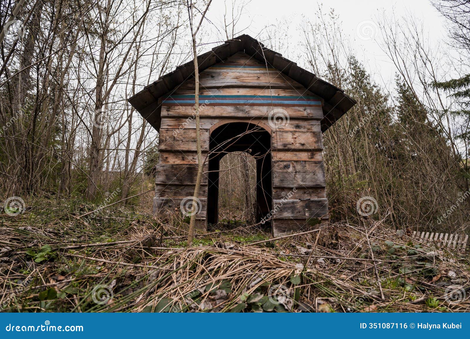 Abandoned Rustic Shack in Overgrown Forest Clearing Stock Photo - Image ...