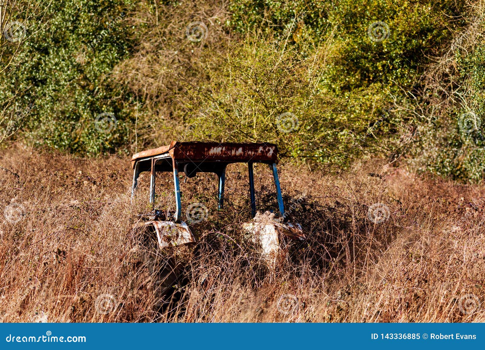 Abandoned Rusting Tractor in Hedge Row Stock Image - Image of rusting ...