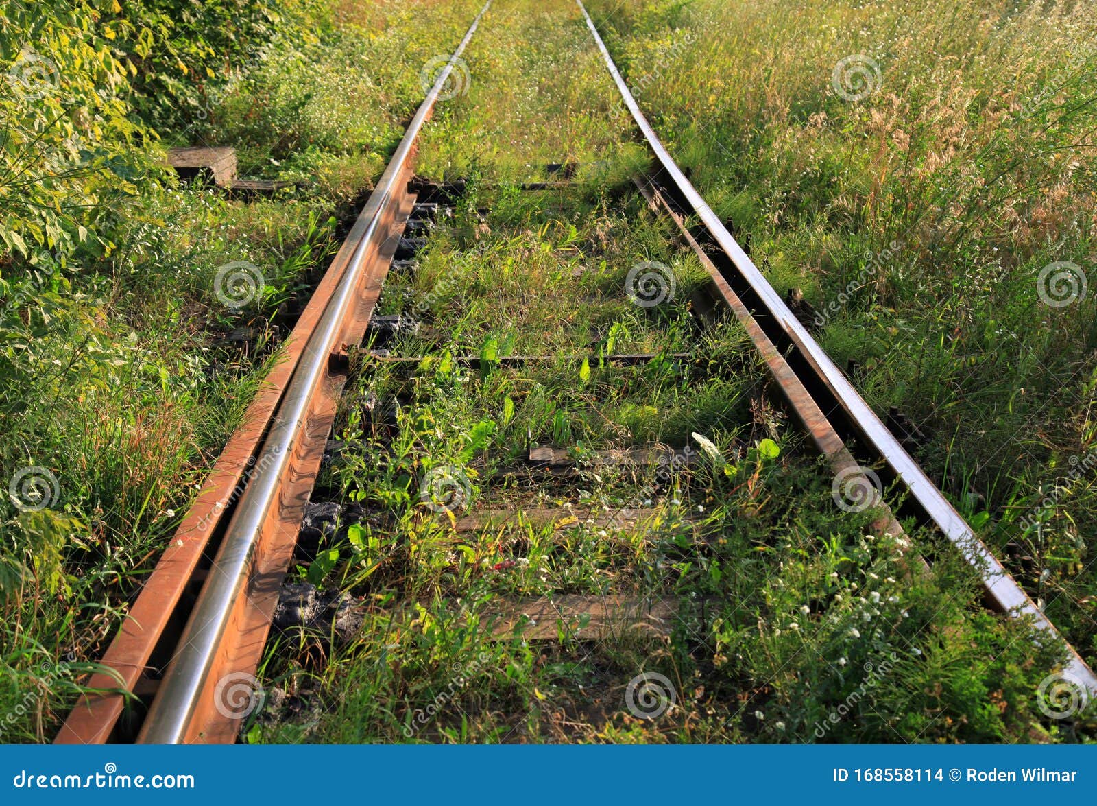 Abandoned Rusty and Active Railway Track Overgrown with Grass Stock ...