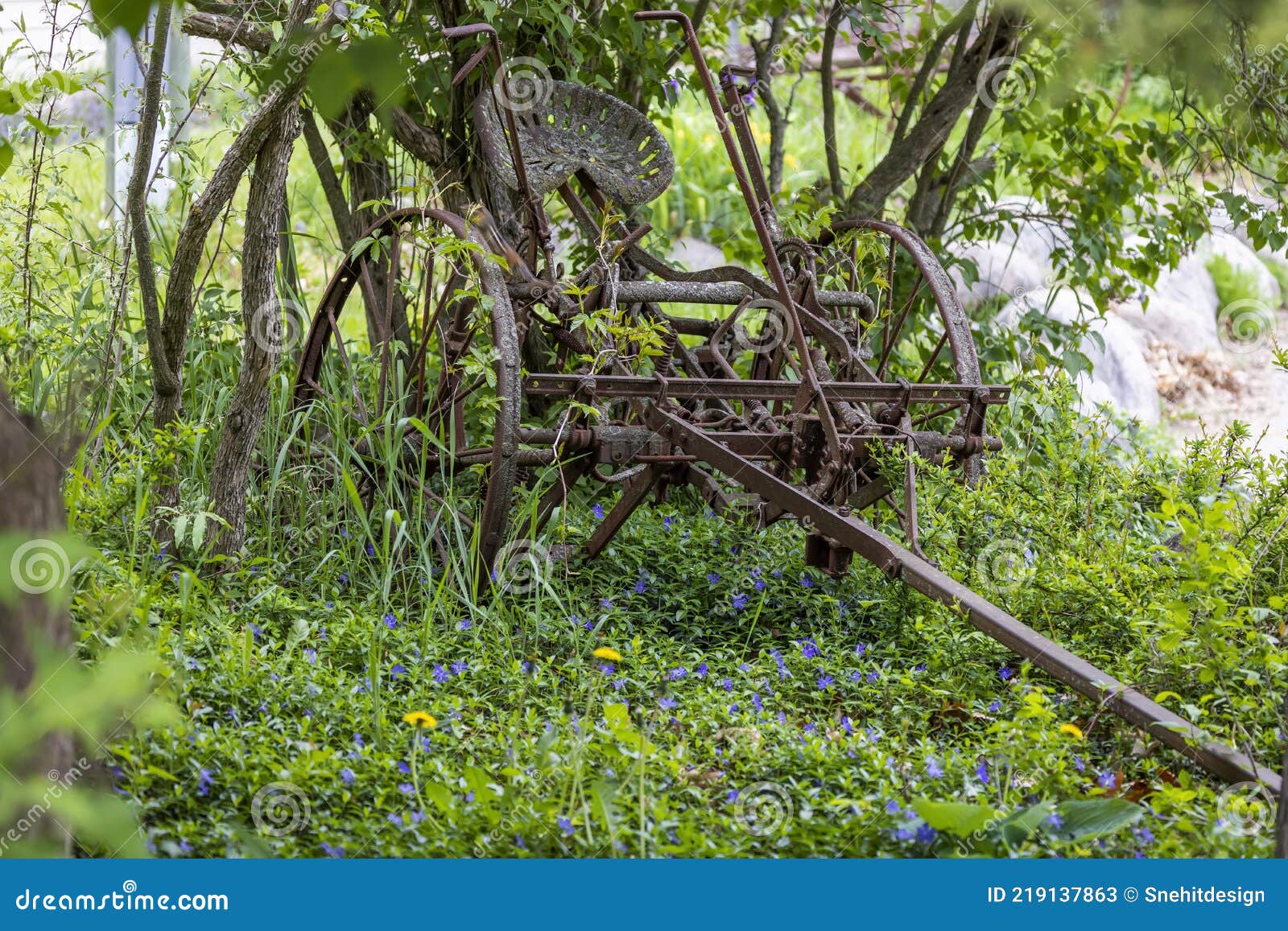 Abandoned Rusty Farm Equipment in the Woods Stock Image - Image of ...