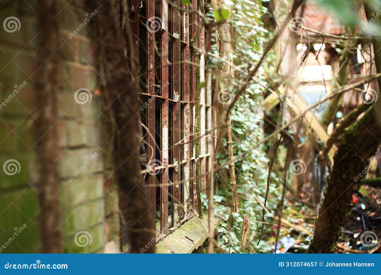 Abandoned Rusty Metal Window Frames without Glass Stock Image - Image ...