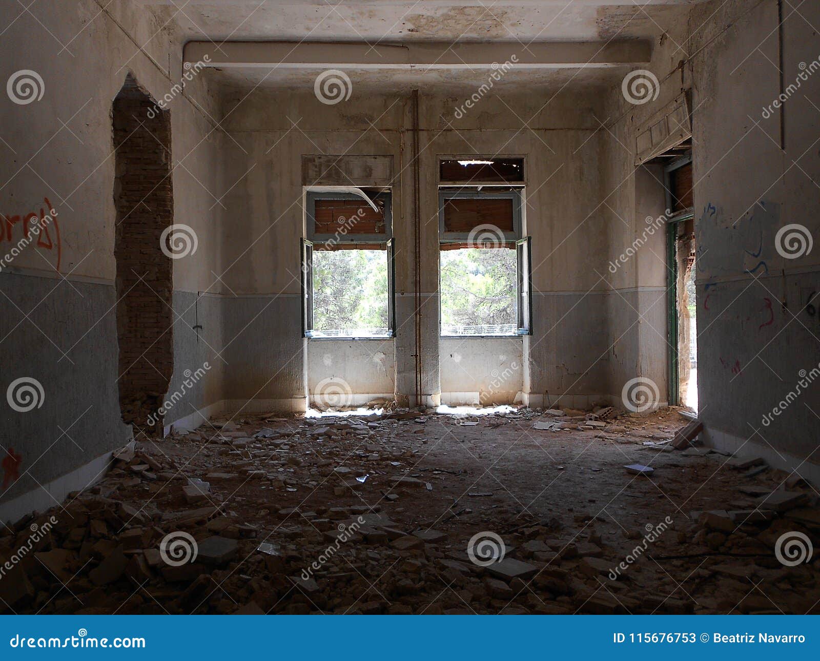 EMPTY SPACES stock image. Image of tree, ruins, window - 115676753