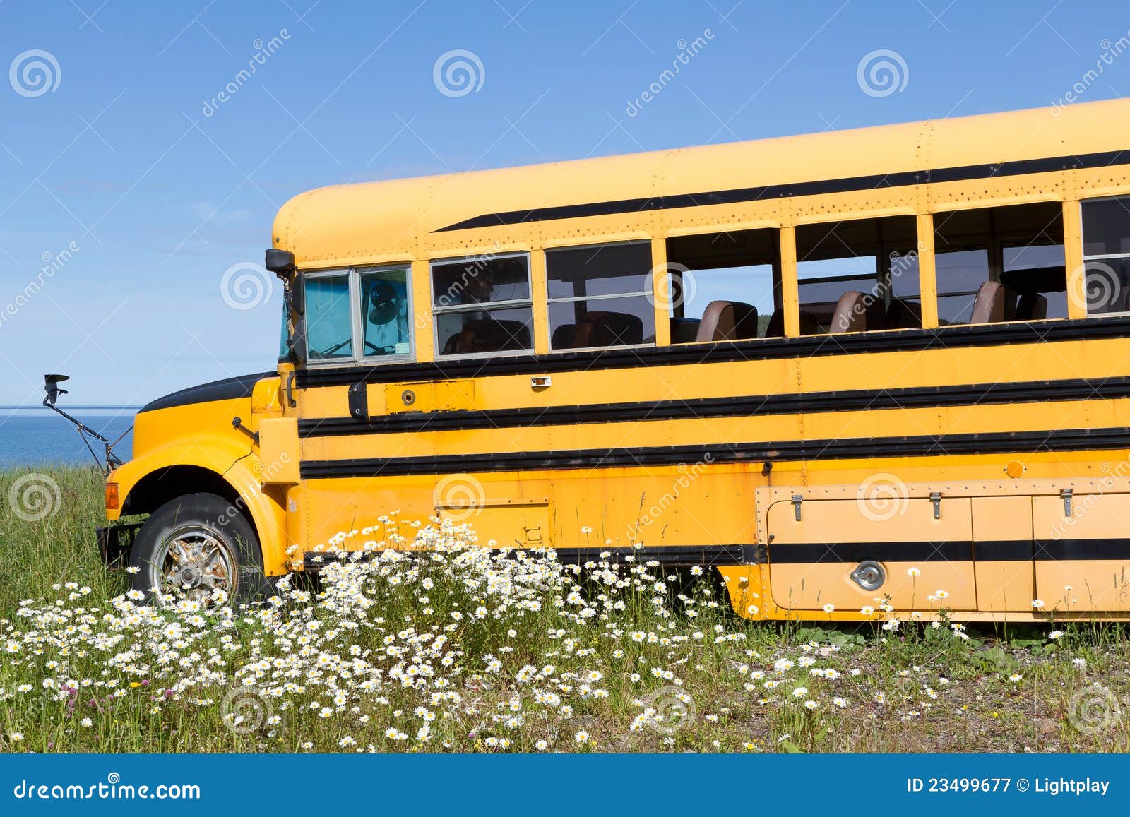 Abandoned school-bus stock image. Image of yellow, romantic - 23499677