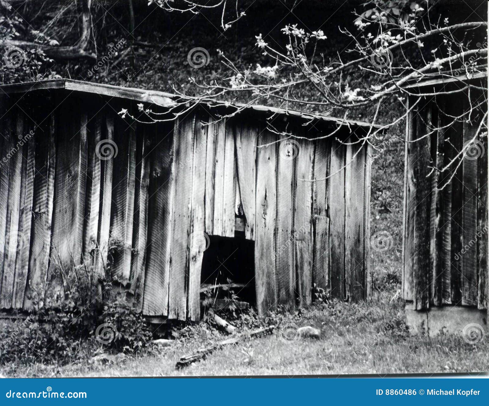 Abandoned Shack stock photo. Image of homes, recession - 8860486