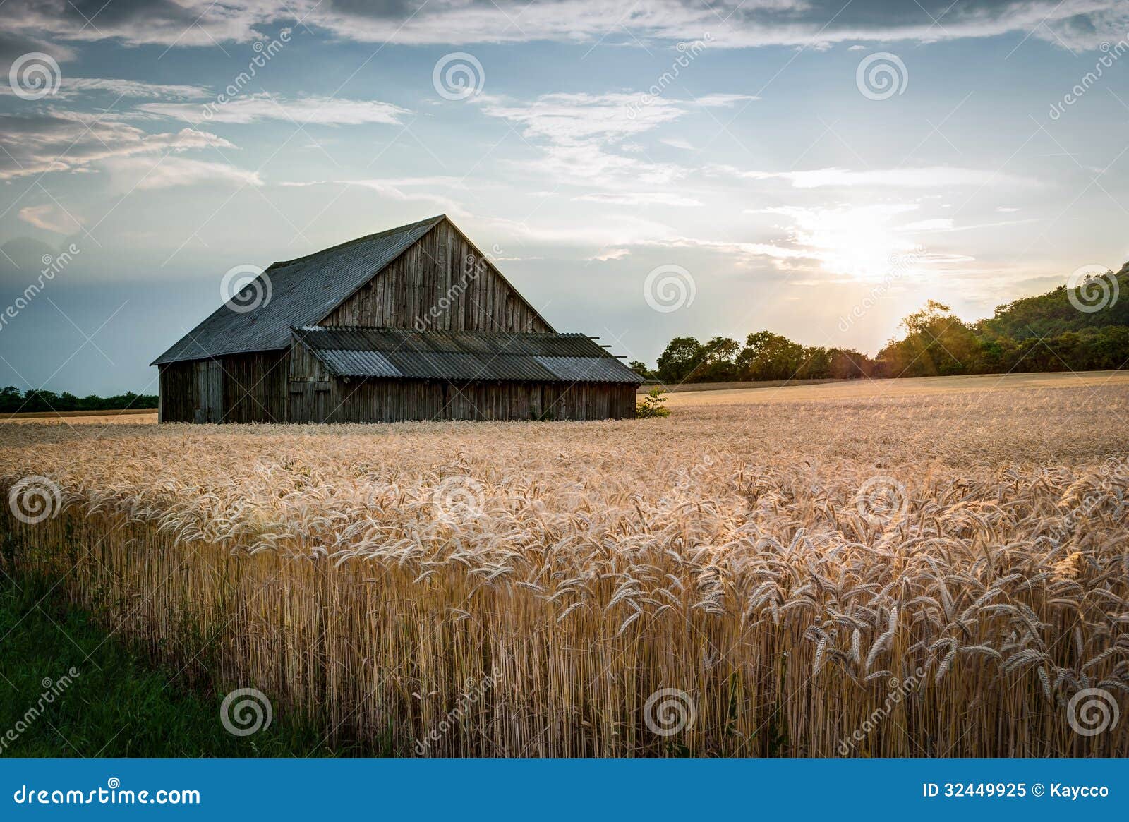 Abandoned Shack in the Field Stock Image - Image of abandoned, wooden ...
