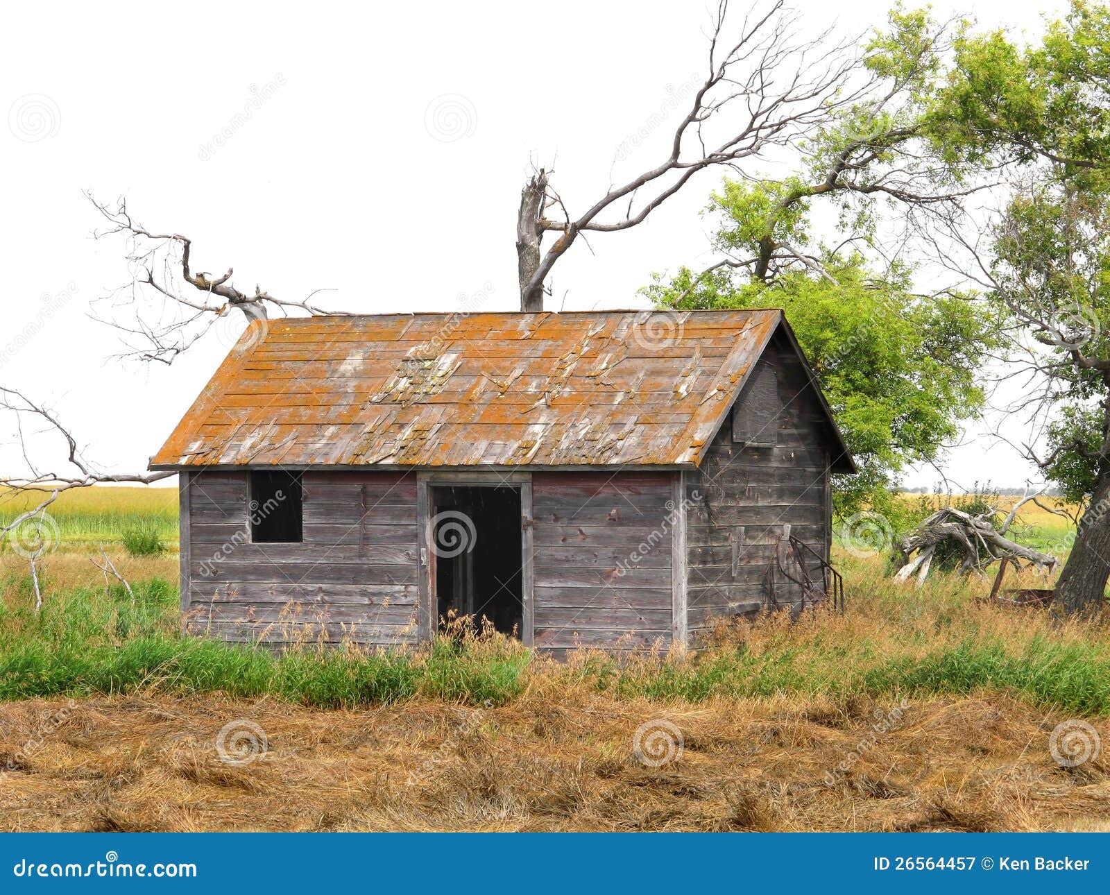 Abandoned Shack in a Prairie Field Stock Image - Image of text, country ...