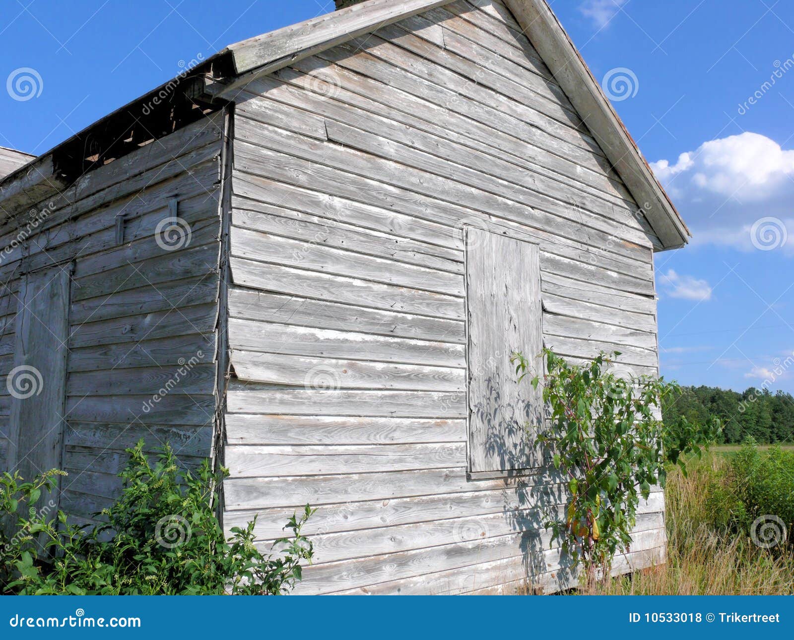 Abandoned shed stock photo. Image of abandoned, shack - 10533018
