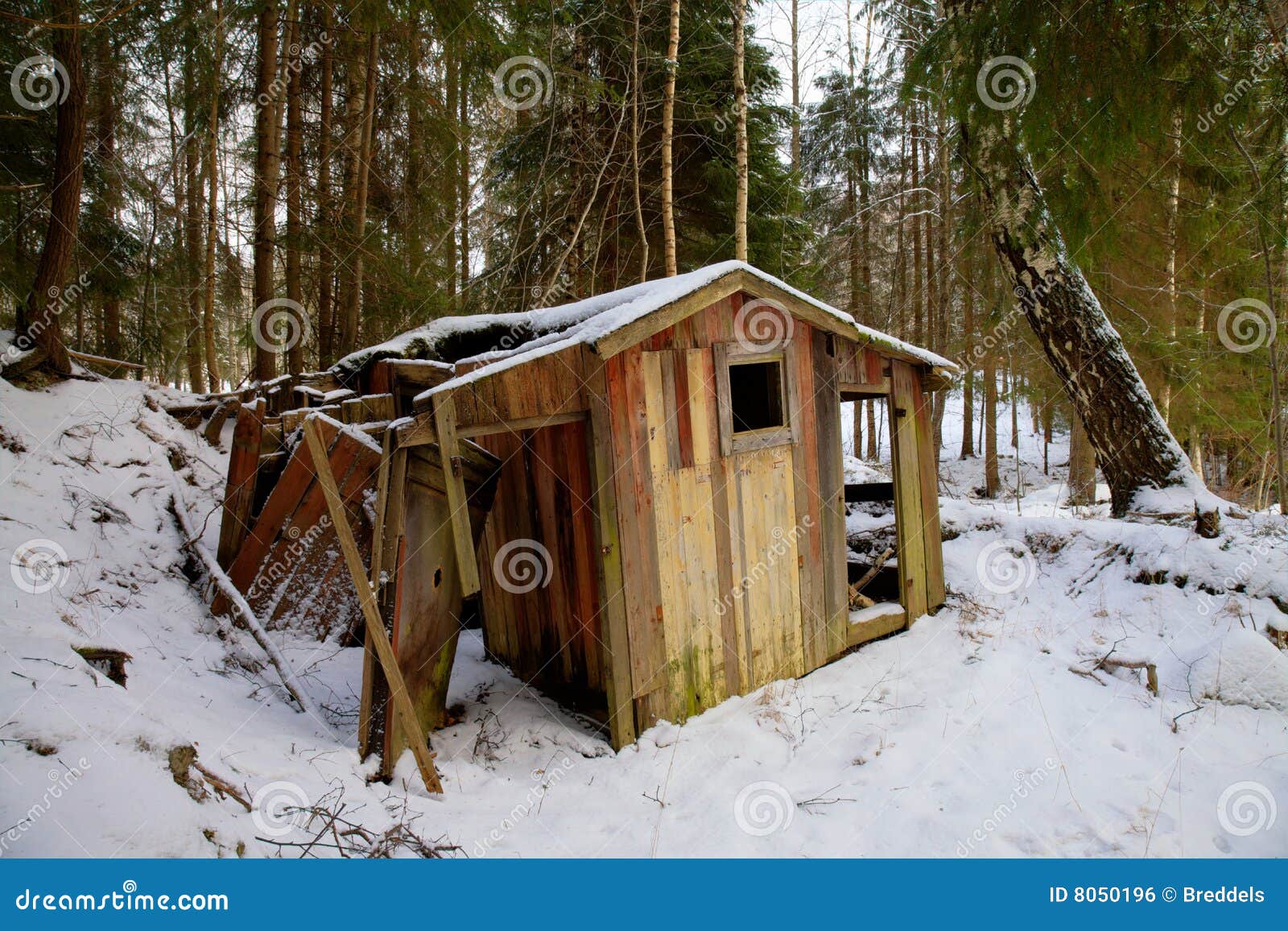 Abandoned Shed In The Woods Stock Photo - Image of worn, rural: 8050196
