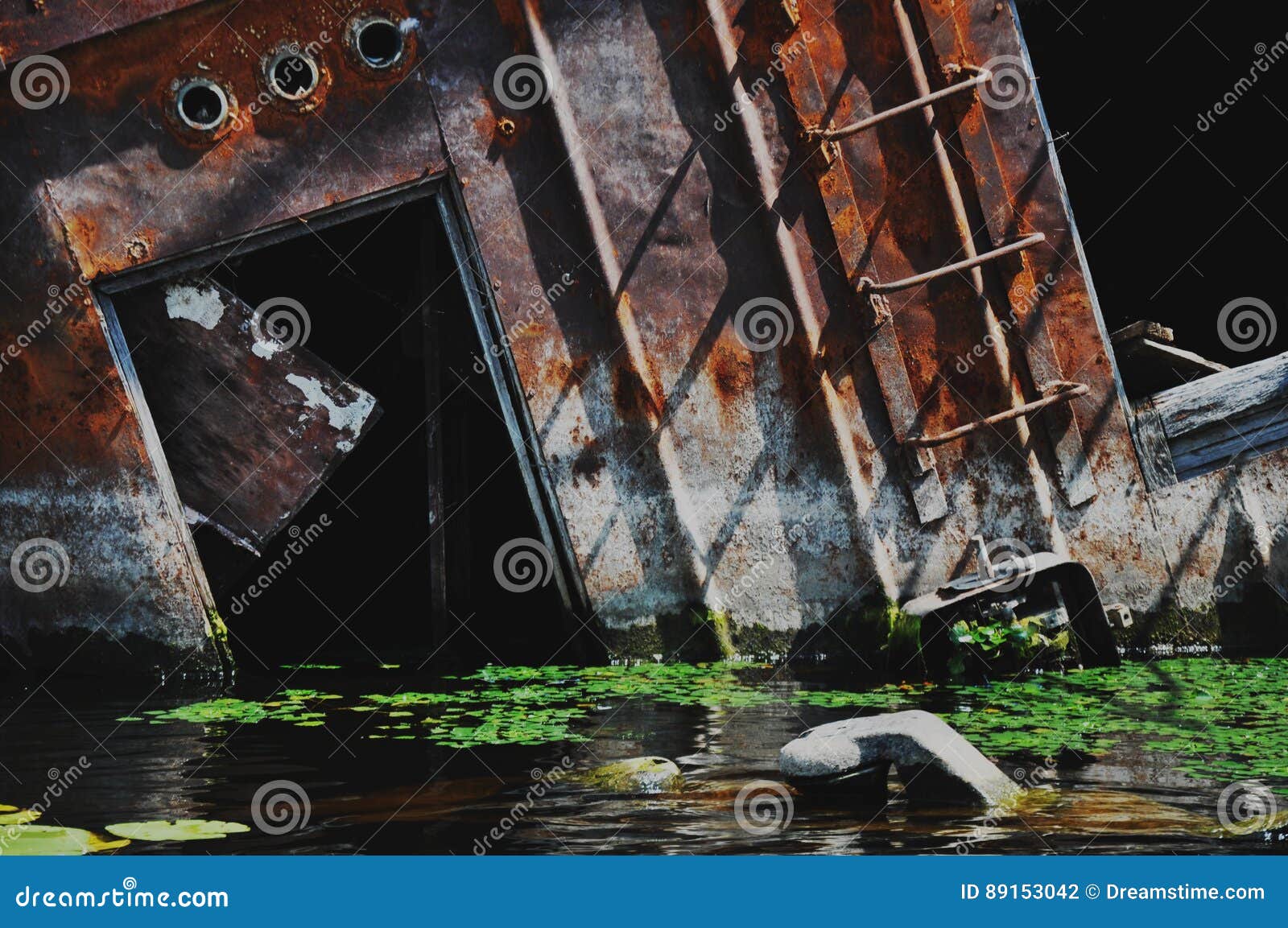 Abandoned Sheep on Pripyat River. Editorial Photography - Image of ...
