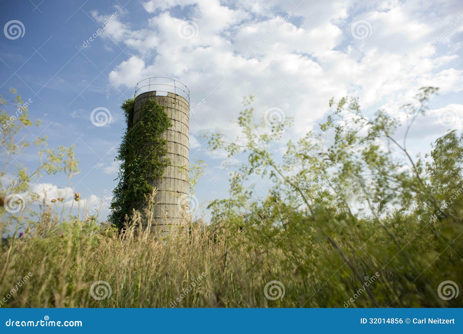 Abandoned Silo stock photo. Image of storage, silo, farm - 32014856