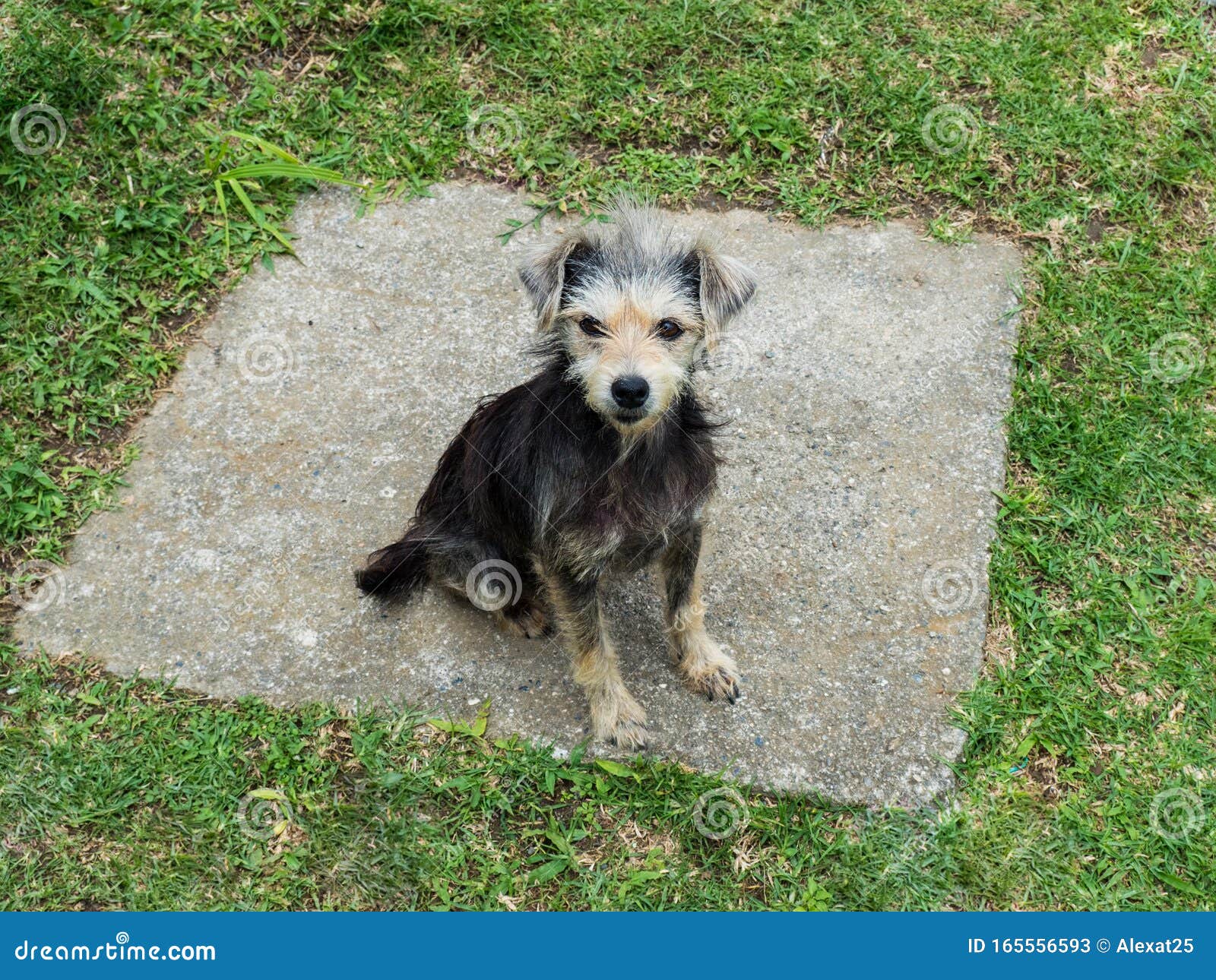 Abandoned Small House With Railway Trestle In The Background Stock ...
