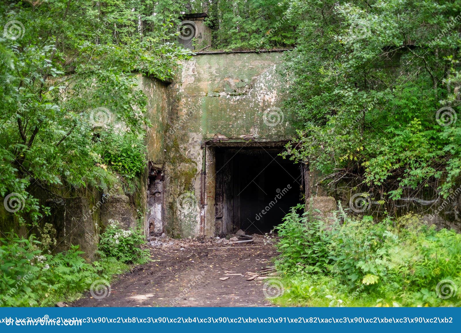 Abandoned Soviet bunker stock photo. Image of army, destroy - 98928944