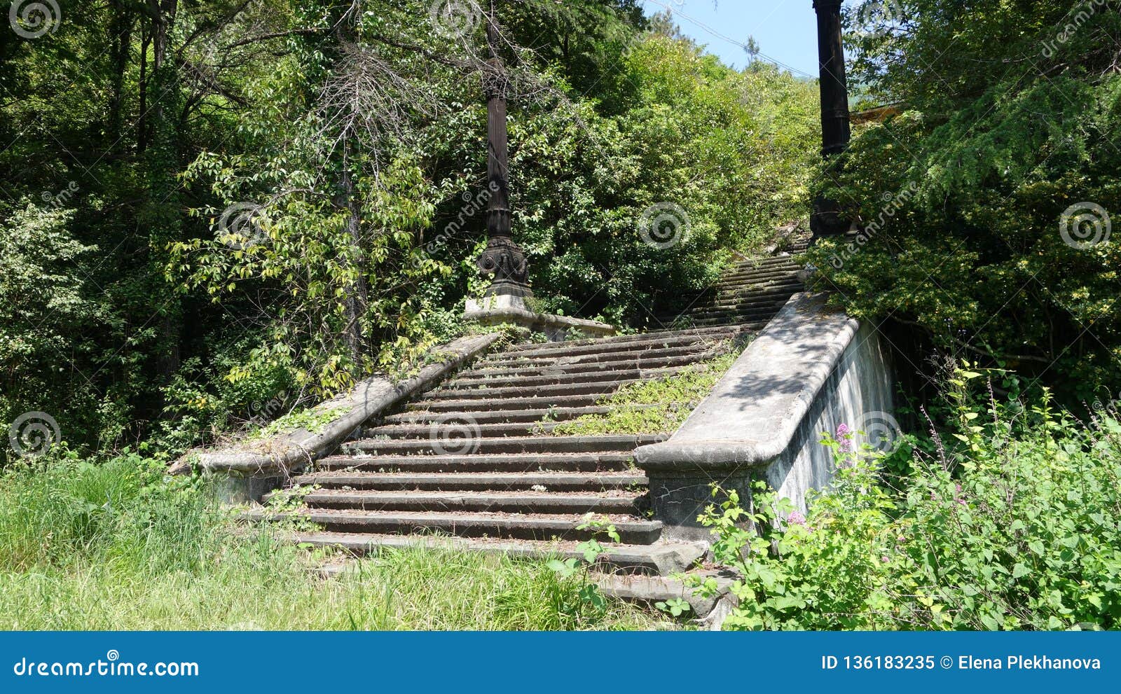 Abandoned Stairs in the Bush Stock Image - Image of staircase, bush ...