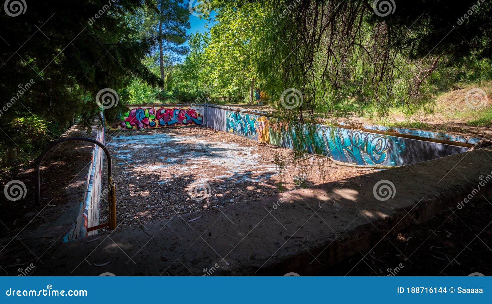 Abandoned Swimming Pool with Graffiti and Grown Plants Stock Photo ...