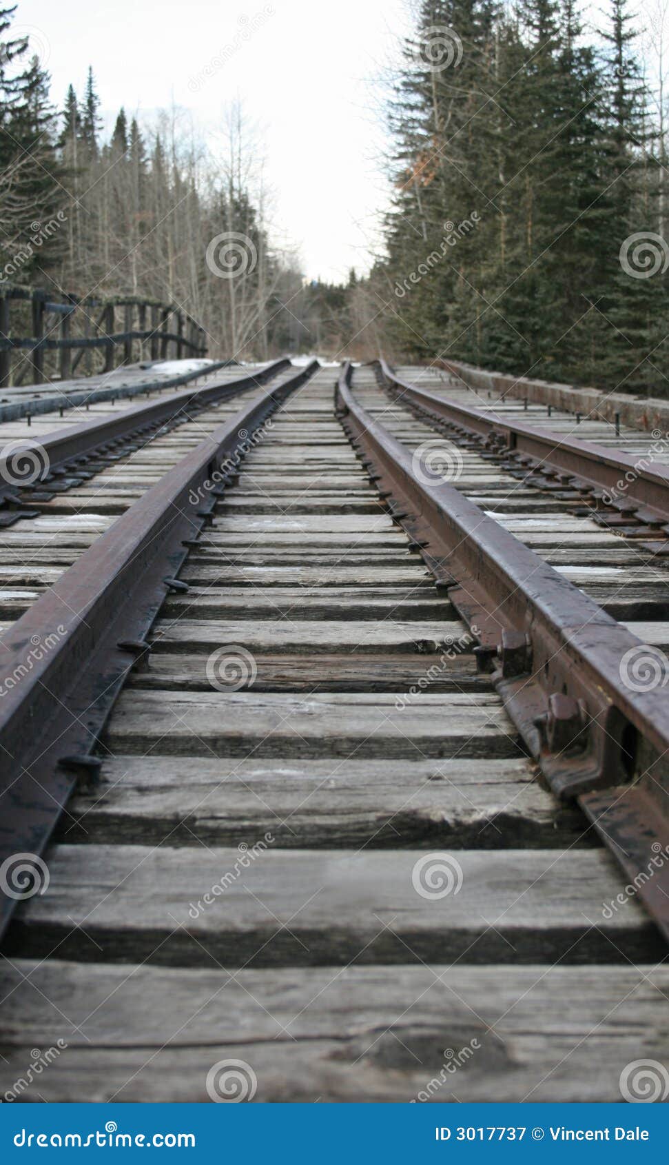 Abandoned Track stock image. Image of abandoned, rails - 3017737