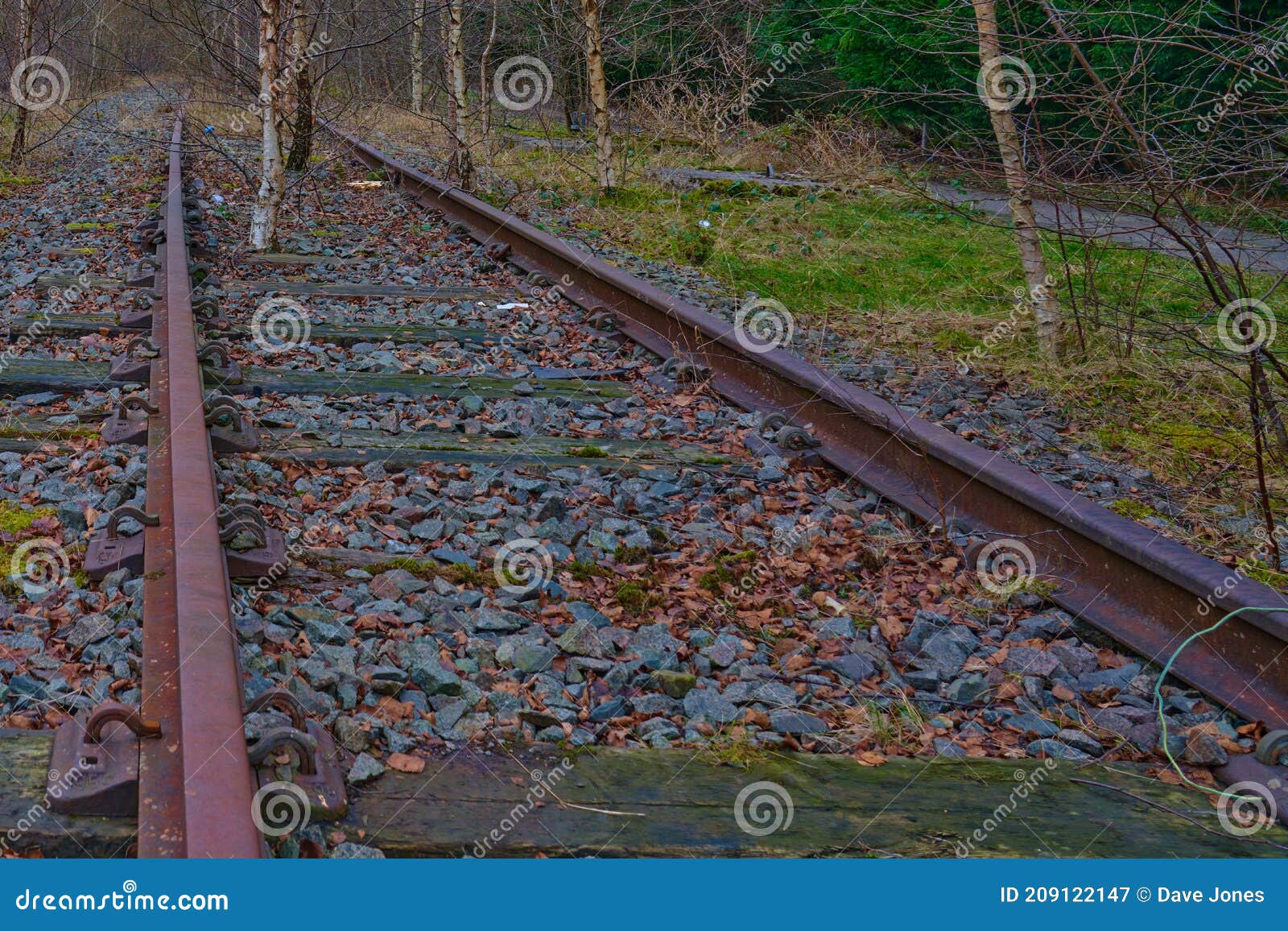 Abandoned Train Track Blocked with Trees Stock Image - Image of stones ...