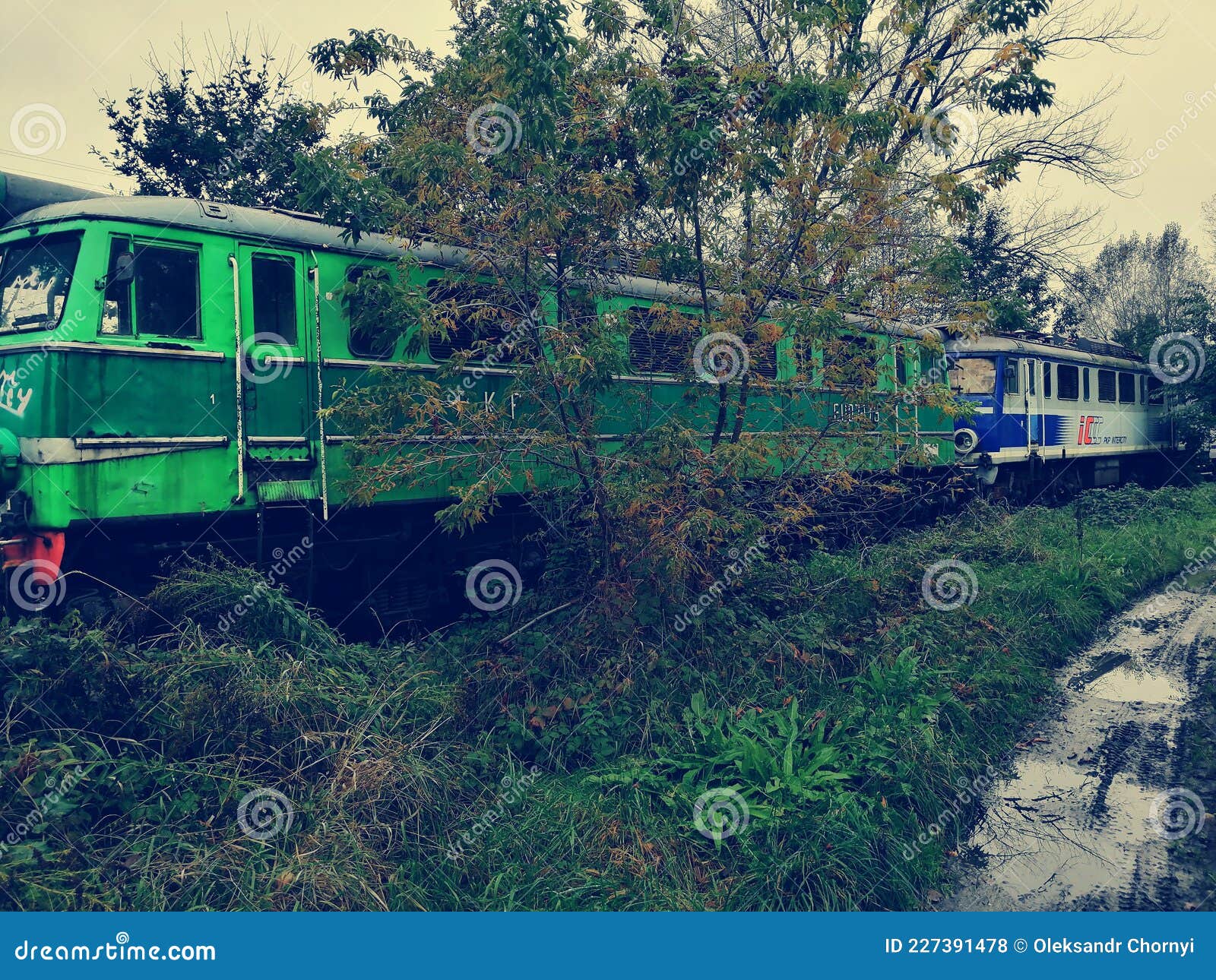 Abandoned trains in forest editorial stock photo. Image of forest ...