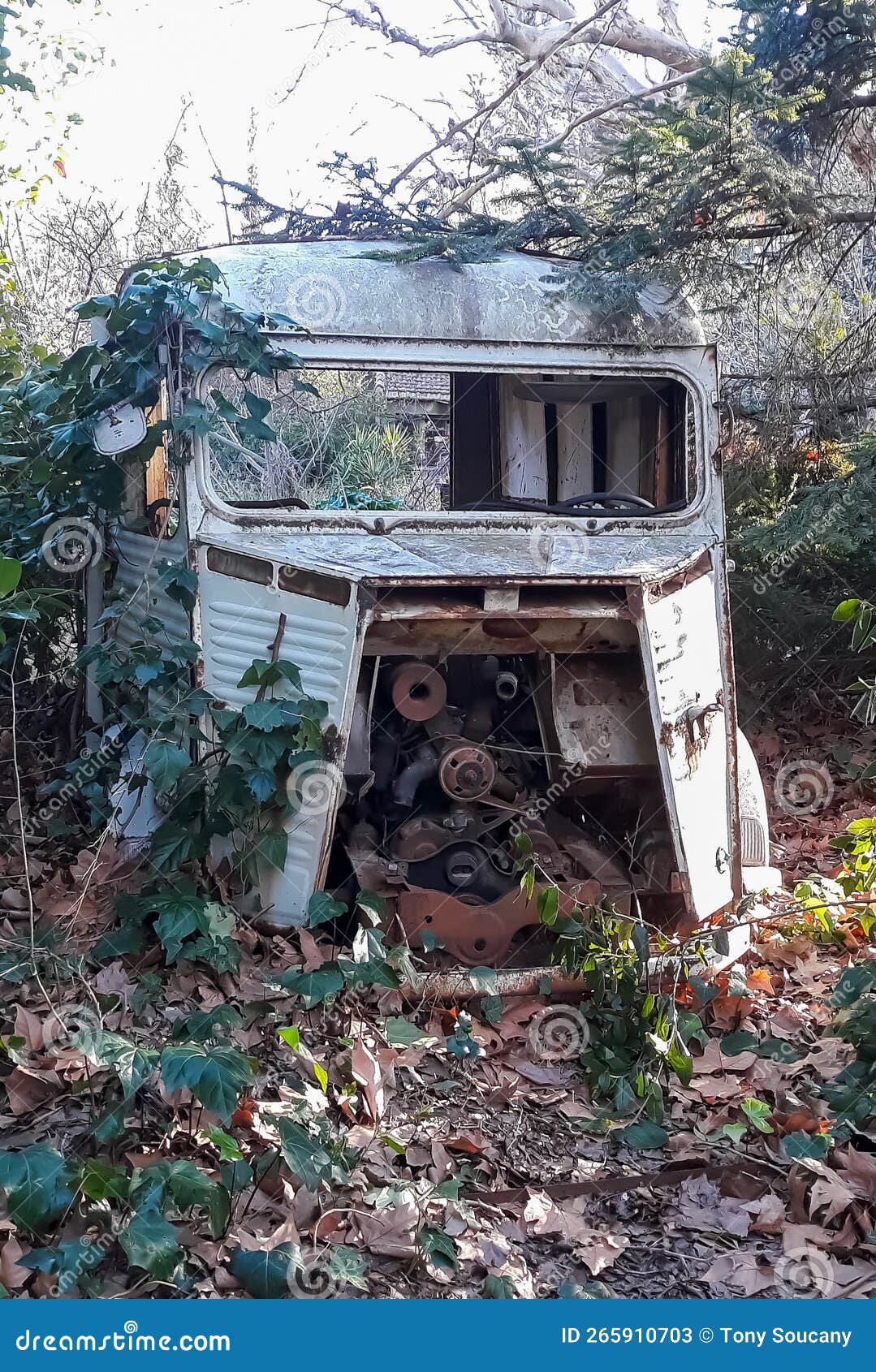 Abandoned Van in a Forest in Autumn Stock Image - Image of forest ...