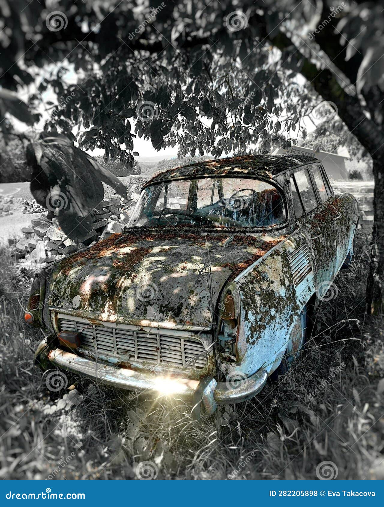 Abandoned Vehicle on the Lost Place Stock Photo - Image of place ...